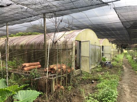 以食農教育擘畫百年家族新方向—專訪將軍山農場魏宗淇 大享食育協會─讓學校營養午餐變得更好