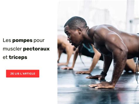 Les Pompes Push Ups Pour Muscler Pectoraux Et Triceps Musculation