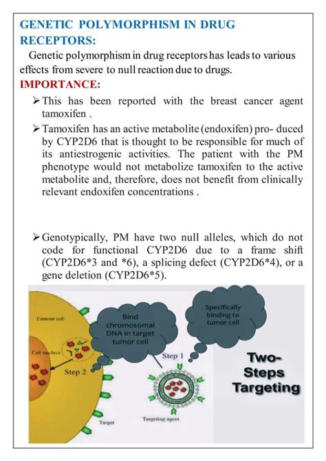 Genetic Polymorphism In Drug Transport And Drug Targets DOCX