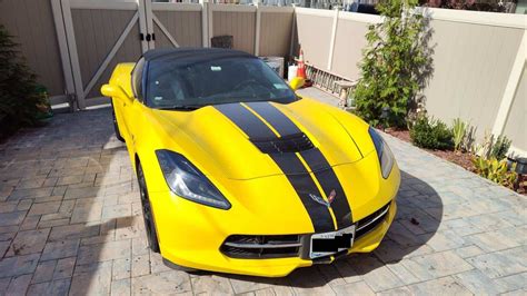 Cocker Spaniel Puppies For Sale In Conklin Ny Usa