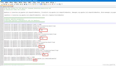 Apache Tomcat Csdn