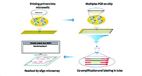 Schematic Diagram Representing Coupling Of Microchip Pcr And