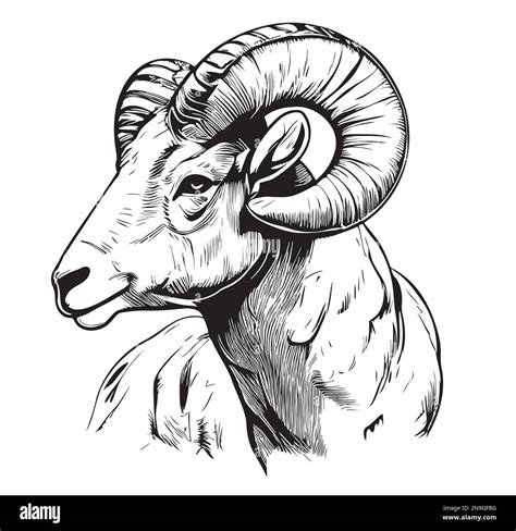Ram Head Ram Head