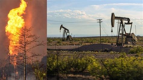 Petition · Stop Fossil Fuel Extraction In Or Around Eco Sensitive Zones