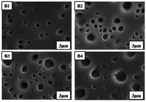 B Sem Micrographs Of The Polymer Networks Of The Samples B1 B4