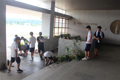 米沢六中 学校日誌 1年生ボランテイアで花壇に花を植えました