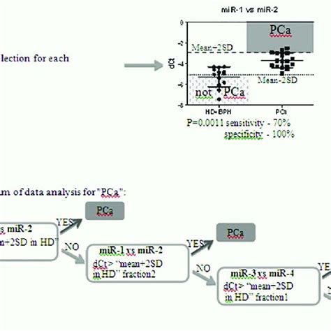 Scheme Of Data Analysis For Assured Detection Of Pca Patients A Download Scientific Diagram