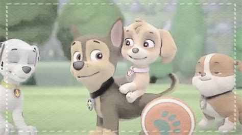 Fanarts Skye And Chase Paw Patrol Fan Art Fanpop