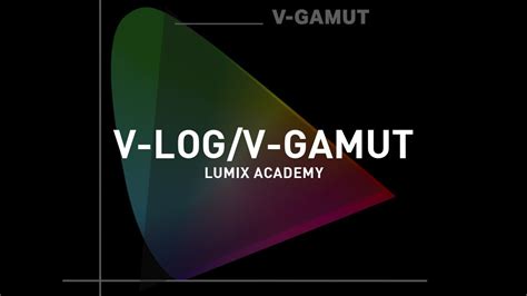 Understanding V Log And V Gamut Youtube
