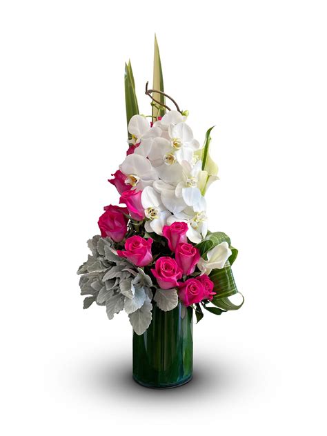 Unification Viva Orchids Of Boca Raton Order Orchid Compositions