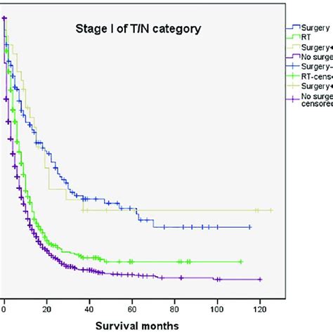 Survival Curves In Patients With Advanced Gastric Cancer According To