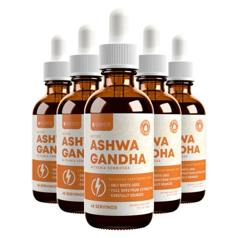 Active Ashwagandha Ashwagandha Root Extract With Natural Withanolide