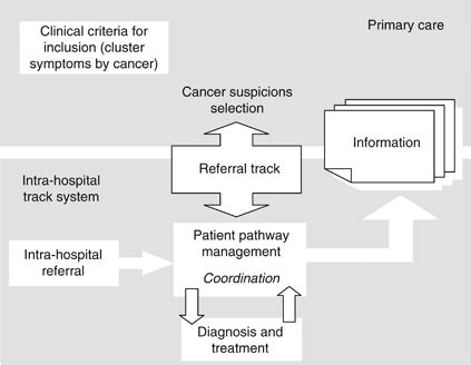 Scope And Functions Of The CFP Download Scientific Diagram