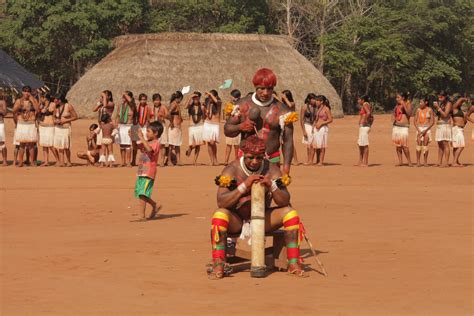 Associação Terra Indígena do Xingu completa 20 anos Notícias REDE