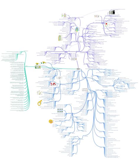 exam 4 coggle diagram