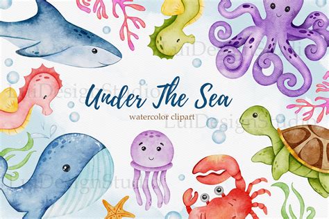 Sea Animals Watercolor Clipart Png Graphic By Luidesignstudio