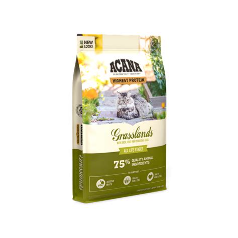 ארכיון חתולים גרי החתול