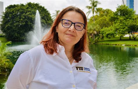 Nanomaterials Research Group Daniela Radu