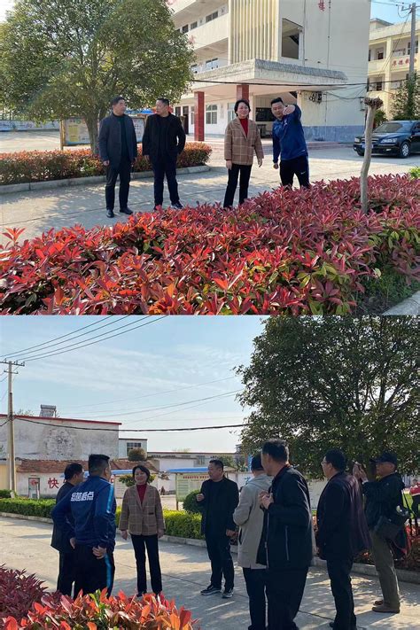 合聚爱心，真情助学——谈店乡政府领导和绿茵启点青少年足球俱乐部为小吕店中学捐赠体育器材