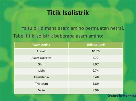 Asam Amino Protein Dan Enzim