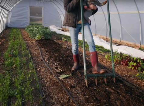 3 Foolproof Methods For Planting Carrot Seeds The Seasonal Homestead