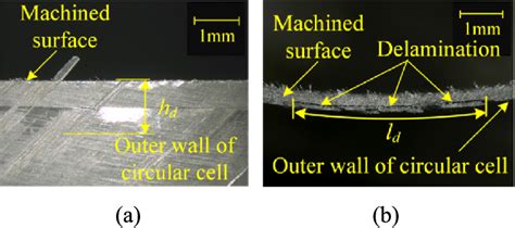 Morphology Of Delamination Of Cfrp Circular Cell A Delamination Download Scientific Diagram