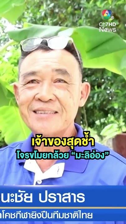 20 ล้านหายวับไปกับตา คนร้ายลอบตัด กล้วยมะลิอ่อง เช้านี้ที่หมอชิต