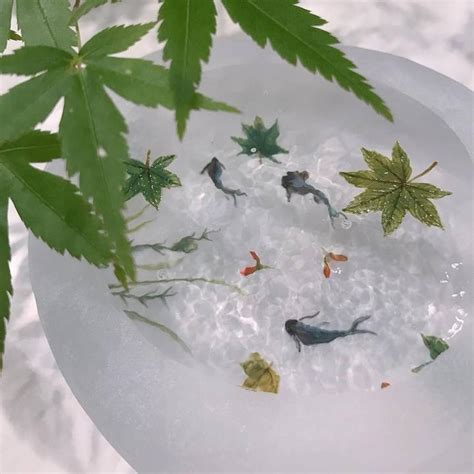 桌上的小池塘~日本玻璃作家久保裕子 池文镇 知乎