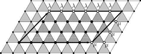 Fundamental Domain Of A Discrete Torus M With Regular Combinatorics Download Scientific Diagram