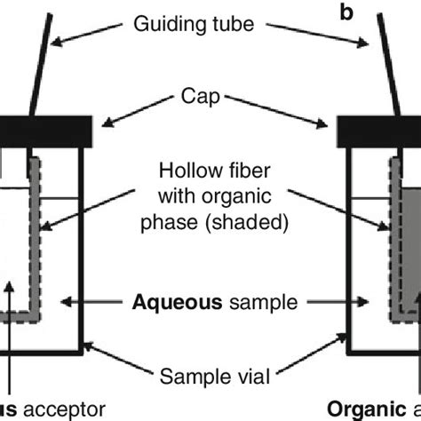 3 Schematic Of The Basic Operating Principles In Dllme A And In Situ