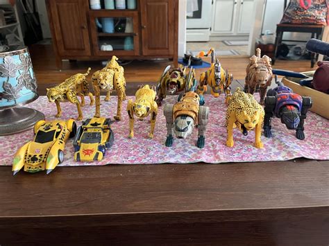 Im Not Biased Rtransformers