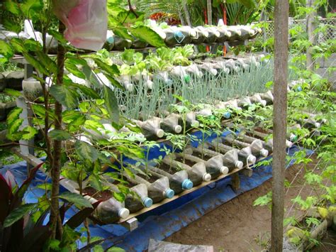 17 Ide Kreatif Bikin Kebun Sayur Di Rumah Sendiri