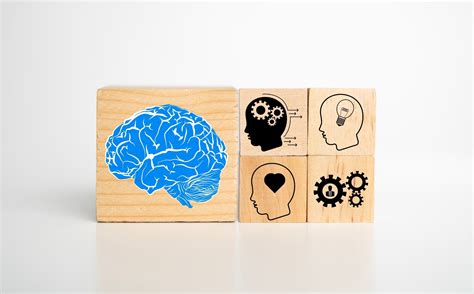 Researchers Investigate The Gene Brain Behavior Link In Autism Using