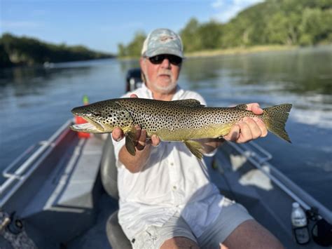 Thrilling Month At Flys And Guides Capitalizing On The Sulfur Hatch
