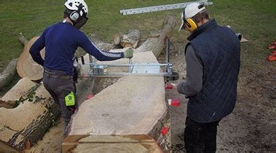 Do I Need A Permit To Cut My Trees Tree Surgeon In Colchester