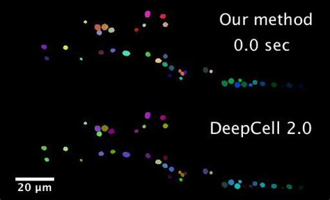 Figures And Data In 3deecelltracker A Deep Learning Based Pipeline For