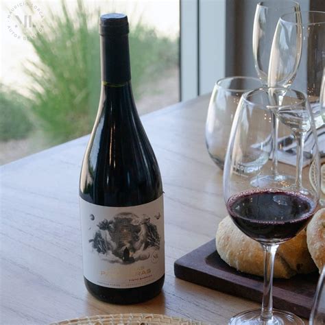 Vinos Argentinos Bodega Mauricio Lorca
