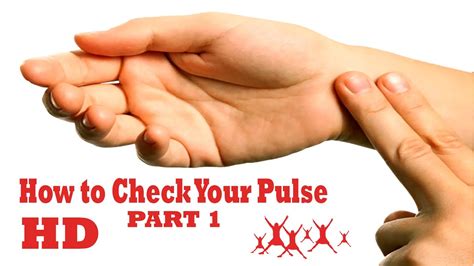 Are Your Pulse And Heart Rate The Same