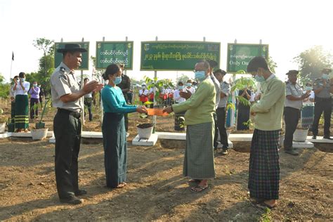 သင့်အတွက် သစ်ပင်ရှင်အောင်စိုက်ပျိုး၊ ကြီးအောင်ပြုစု မြဲအောင်ထိန်းသိမ