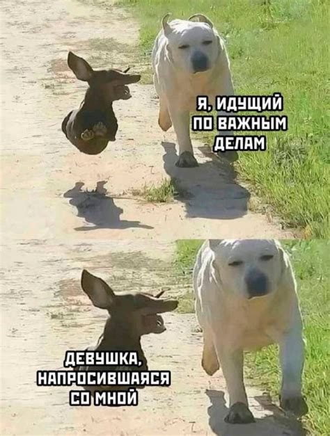 Смешные мемы с картинками Приколы