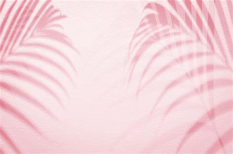 빛과 그림자 손바닥 은 밝은 분홍색 파스텔 색상 그런 지 벽 콘크리트 배경에 나뭇잎 실루엣 플랫 누워 추상적인 열대 잎 내츄럴