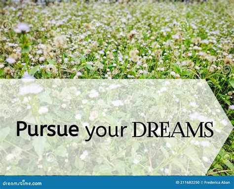 Inspirational And Motivational Quote Of Pursue Your Dream With Green
