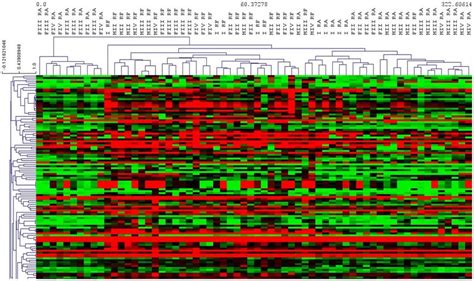 Heat Map Of Population Specific Genes Hierarchical Clustering Obtained