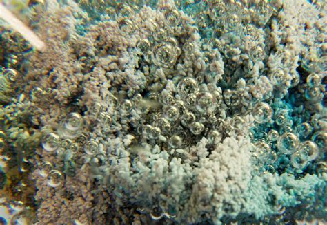 Lee Griggs Nested Dielectric Bubbles