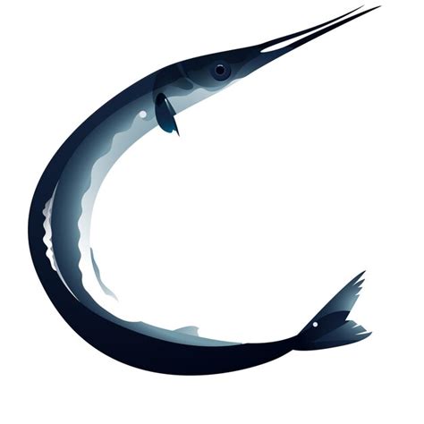 Orphie Vecteur Premium