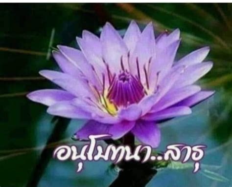 หัวเตียงนอนสูงเกินไป ยิ่งนอนยิ่งป่วย ฮวงจุ้ยบ้าน รับตรวจฮวงจุ้ย ชินแส มาดามฮวงจุ้ย รับ