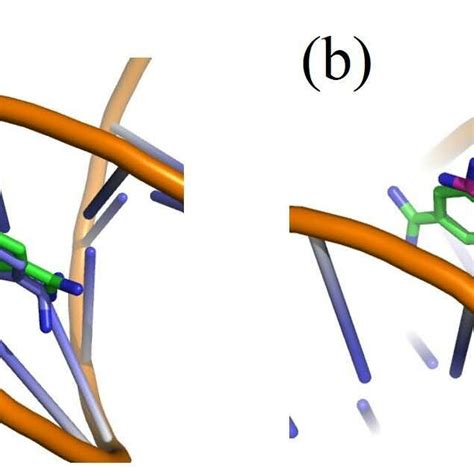 Binding Poses Of The Native Ligand Green 1 St Ranked Conformation Of