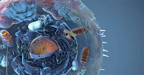 Gagan Kukreja On Linkedin Medicinal Chemistrys Biological Blind Spots