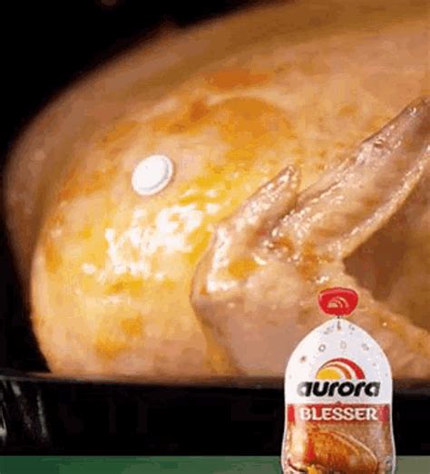 Blesser Aurora  Blesser Aurora  탐색 및 공유