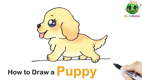 儿童简笔画小狗 How To Draw A Cute Golden Puppy Easy Step By Stepeasy Drawings